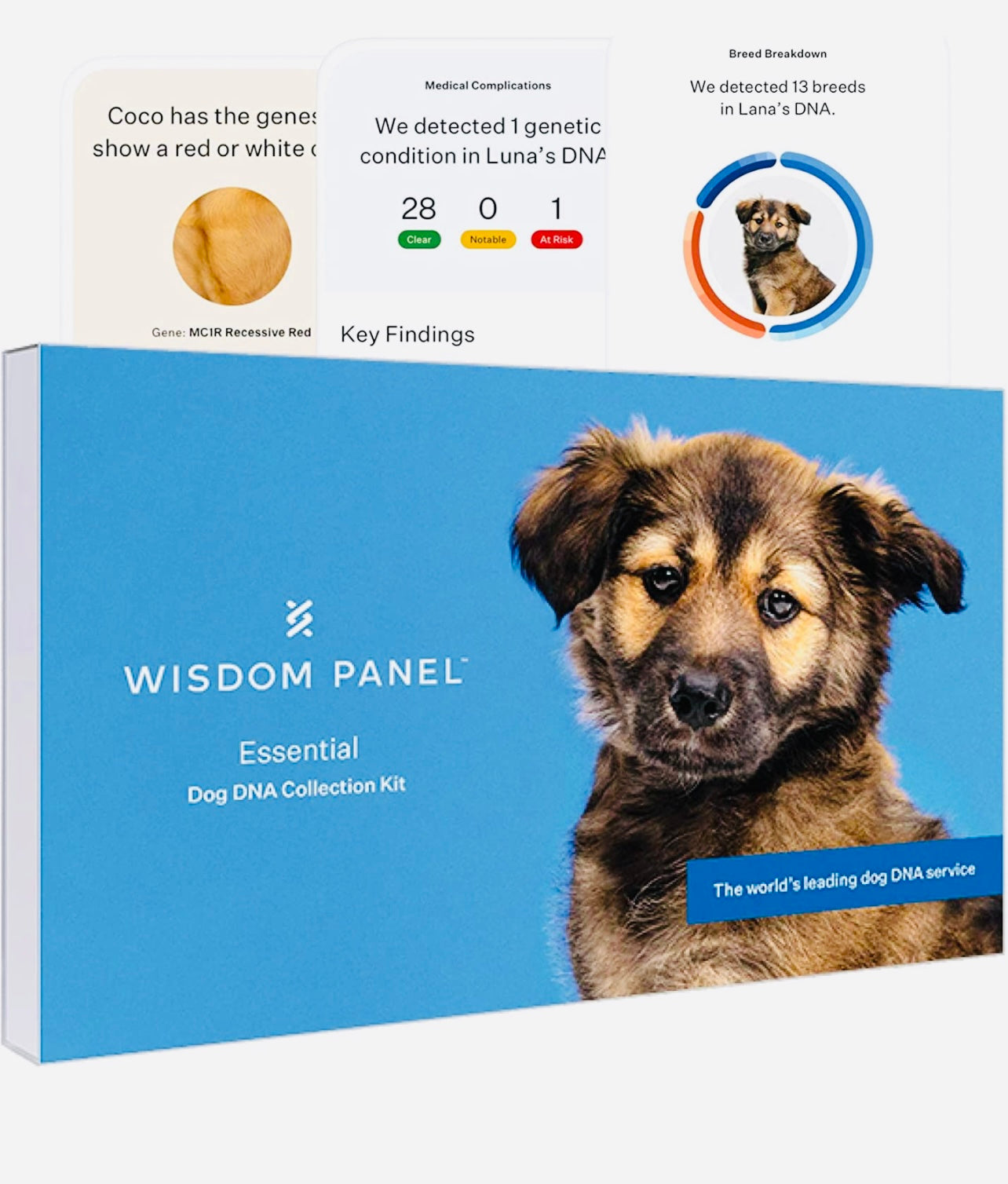 Dog DNA test for ancestry ,breed ,traits & health test – OZ PETS STORE